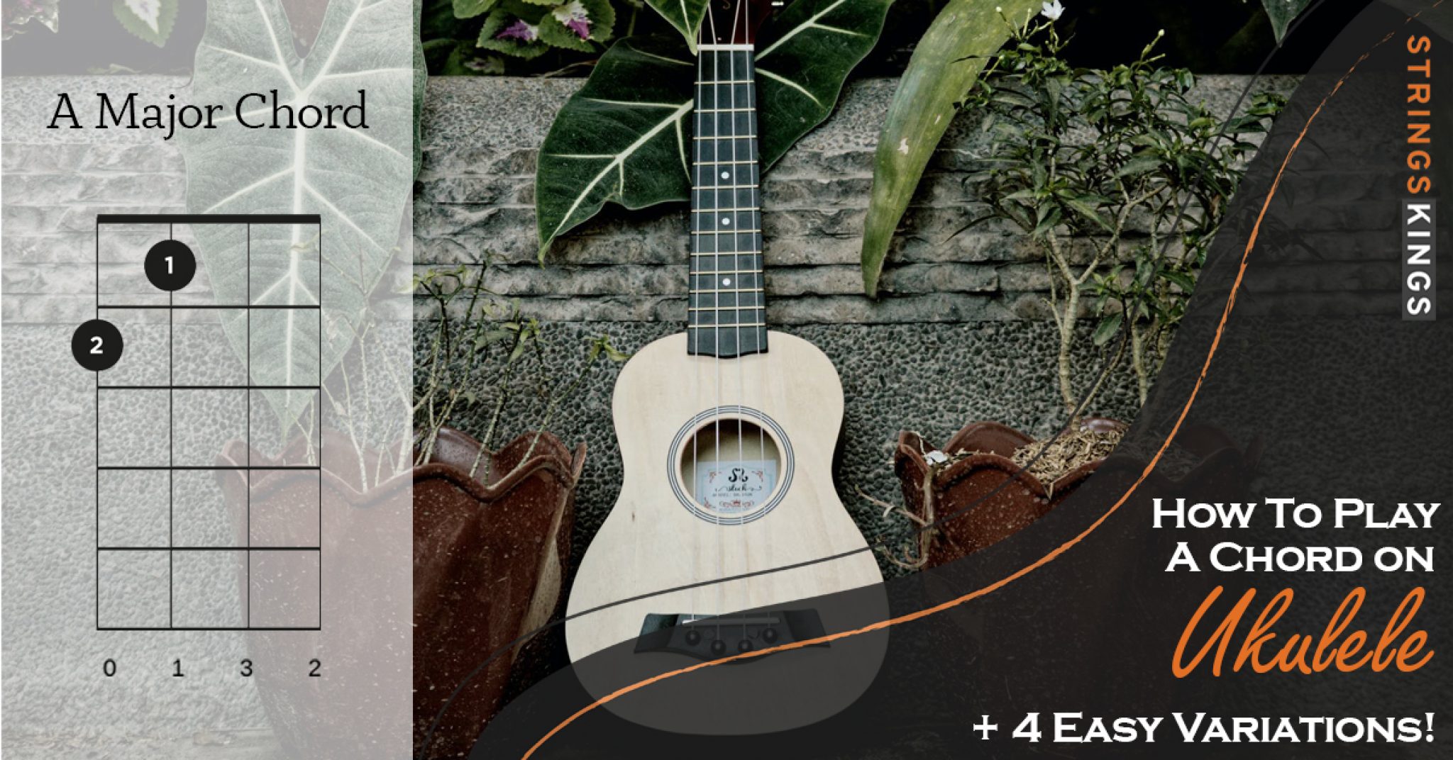 Complete Guide to Ukulele Strings Notes, Names, and Numbers