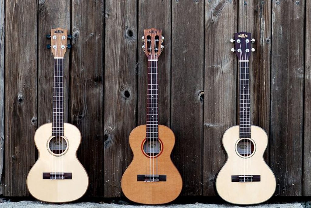 Kala Ukulele Review + 10 Best Kala Brand Ukuleles!