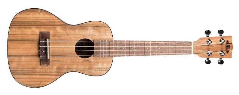 Kala Ukulele Review + 10 Best Kala Brand Ukuleles! - Strings Kings
