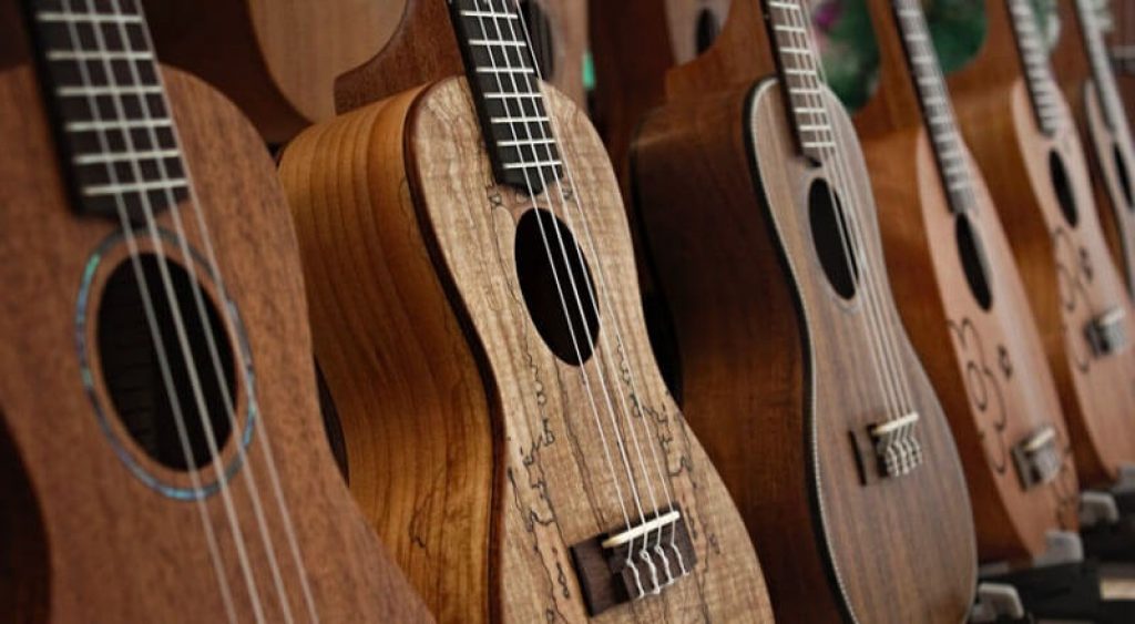 Best Tenor Ukulele on Market? 15 Experts Choices