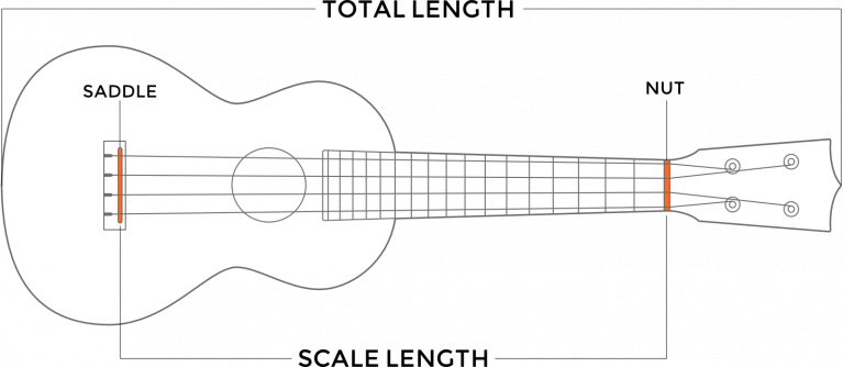 Concert Vs Tenor Ukulele (Learn More) - Best Guide For 2023!