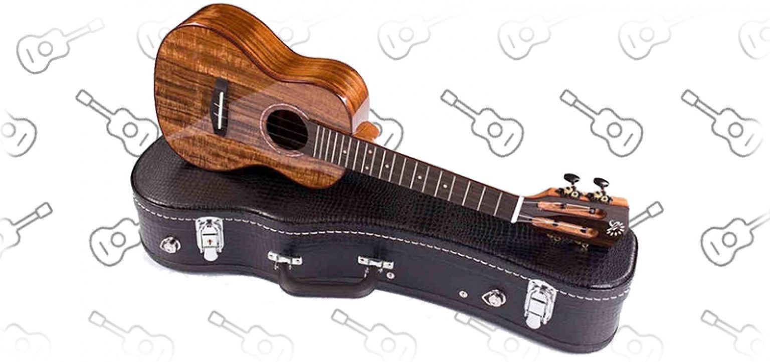 The 10 Best And Most Expensive Ukuleles Available in 2023!