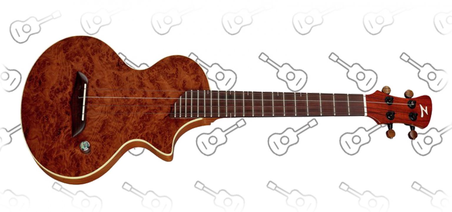 The 10 Best And Most Expensive Ukuleles Available in 2023!