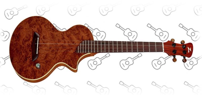 The 10 Best And Most Expensive Ukuleles Available in 2023!