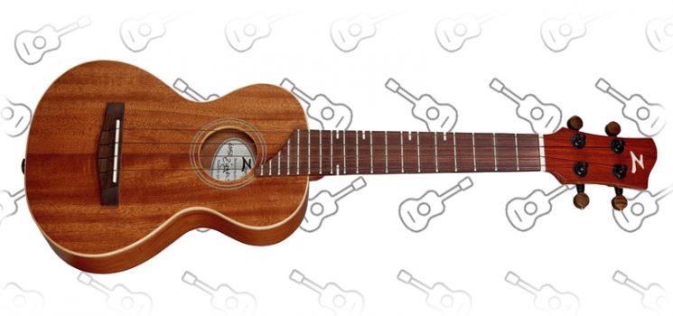 The 10 Best And Most Expensive Ukuleles Available in 2023!