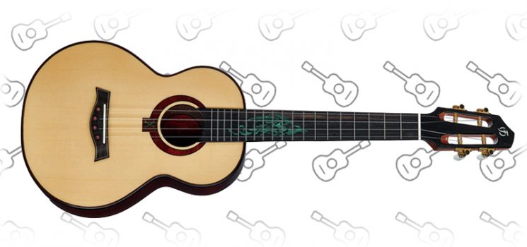 The 10 Best And Most Expensive Ukuleles Available in 2023!