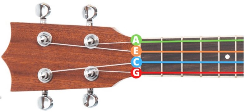 Complete Guide to Ukulele Strings Notes, Names, and Numbers