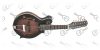Top 15 Best Mandolins: Huge Buyers Guide (2023 Fresh!)