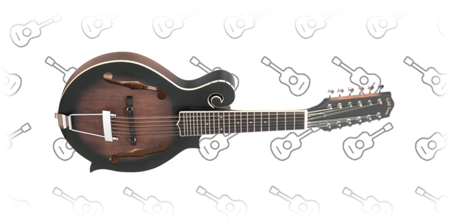 Top 15 Best Mandolins: Huge Buyers Guide (2023 Fresh!)