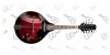 Top 15 Best Mandolins: Huge Buyers Guide (2023 Fresh!)