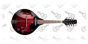 Top 15 Best Mandolins: Huge Buyers Guide (2023 Fresh!)