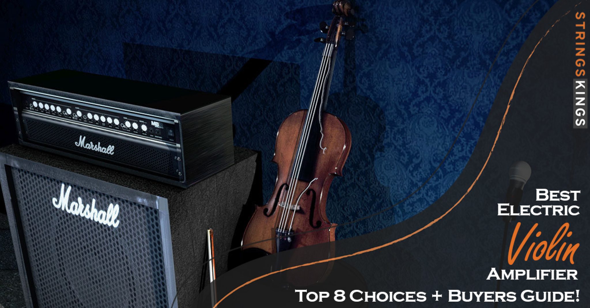 Best Electric Violin Amp: Top 8 Choices + Buyers Guide! - Strings Kings