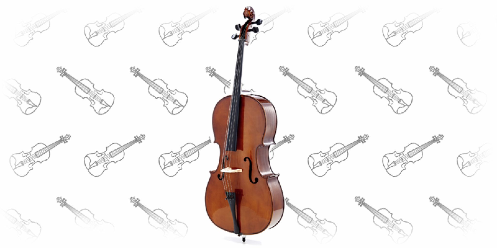 Best Cello for Beginners: Our Top 10 Picks + Buyers Guide!