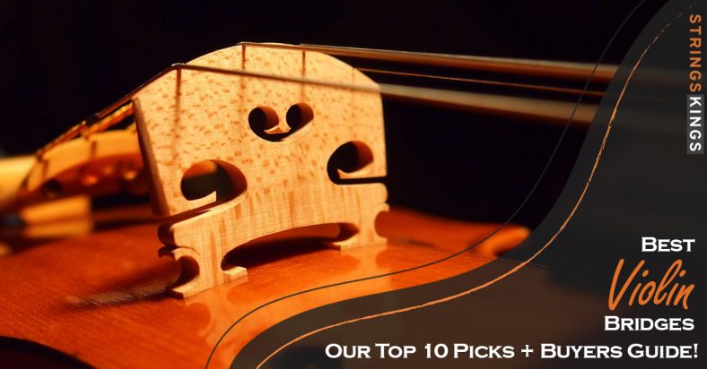 13 Amazing and Interesting Facts About Violin