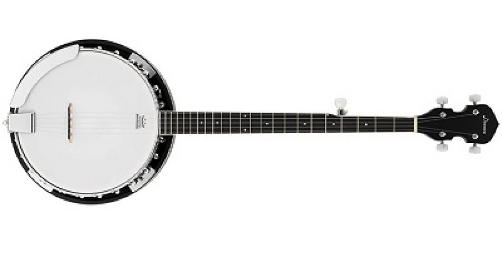 Best Banjo for Beginners: Ultimate Buyers Guide on 10 Models! - Strings ...