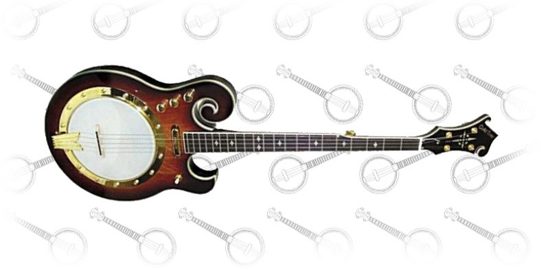 Gold Tone Banjo Review: Great Buyers Guide on 10 Models! - Strings Kings
