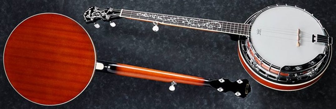 Best Professional Banjo - 2023 Buyer’s Guide - Strings Kings