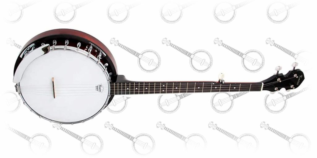 Best Banjo for Beginners: Ultimate Buyers Guide on 10 Models!