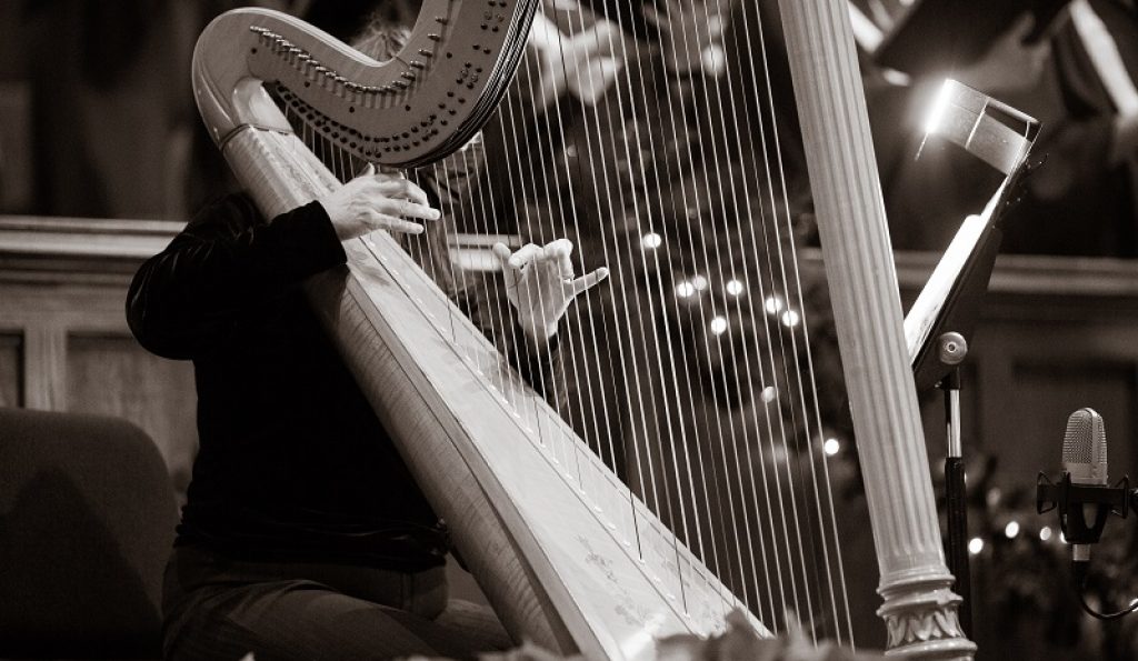 Best Harps for Beginners - 2023 Reviews and Guide