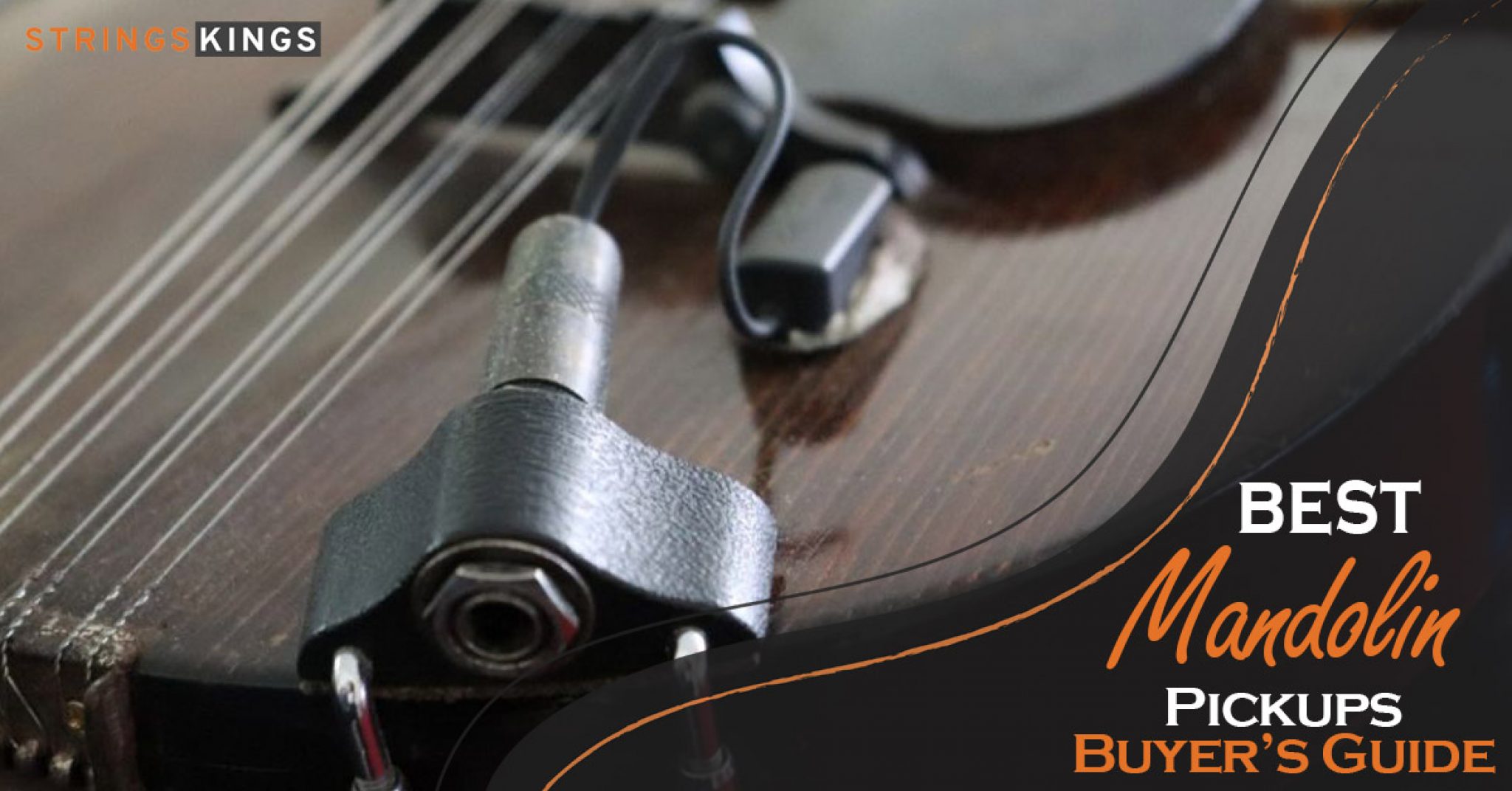 Best Mandolin Pickups (2022 Buyer’s Guide) - Strings Kings