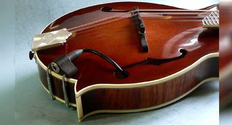 Best Mandolin Pickups (2023 Buyer’s Guide) - Strings Kings