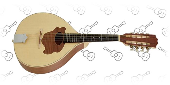 Best Oval Hole Mandolins: Top 3 Models To Stay True To The Roots!