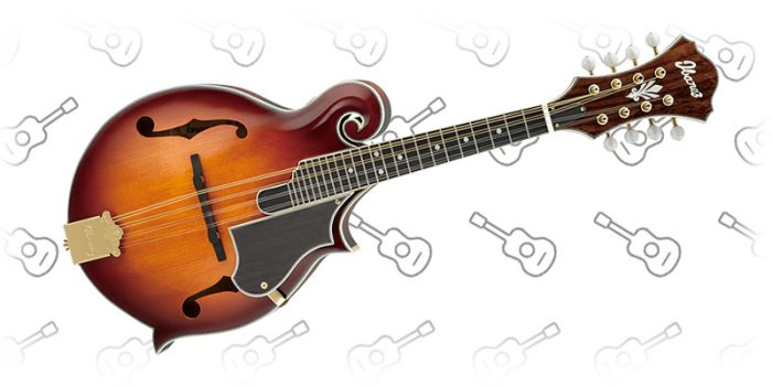 The Best F-Style Mandolins In 2023! - Strings Kings