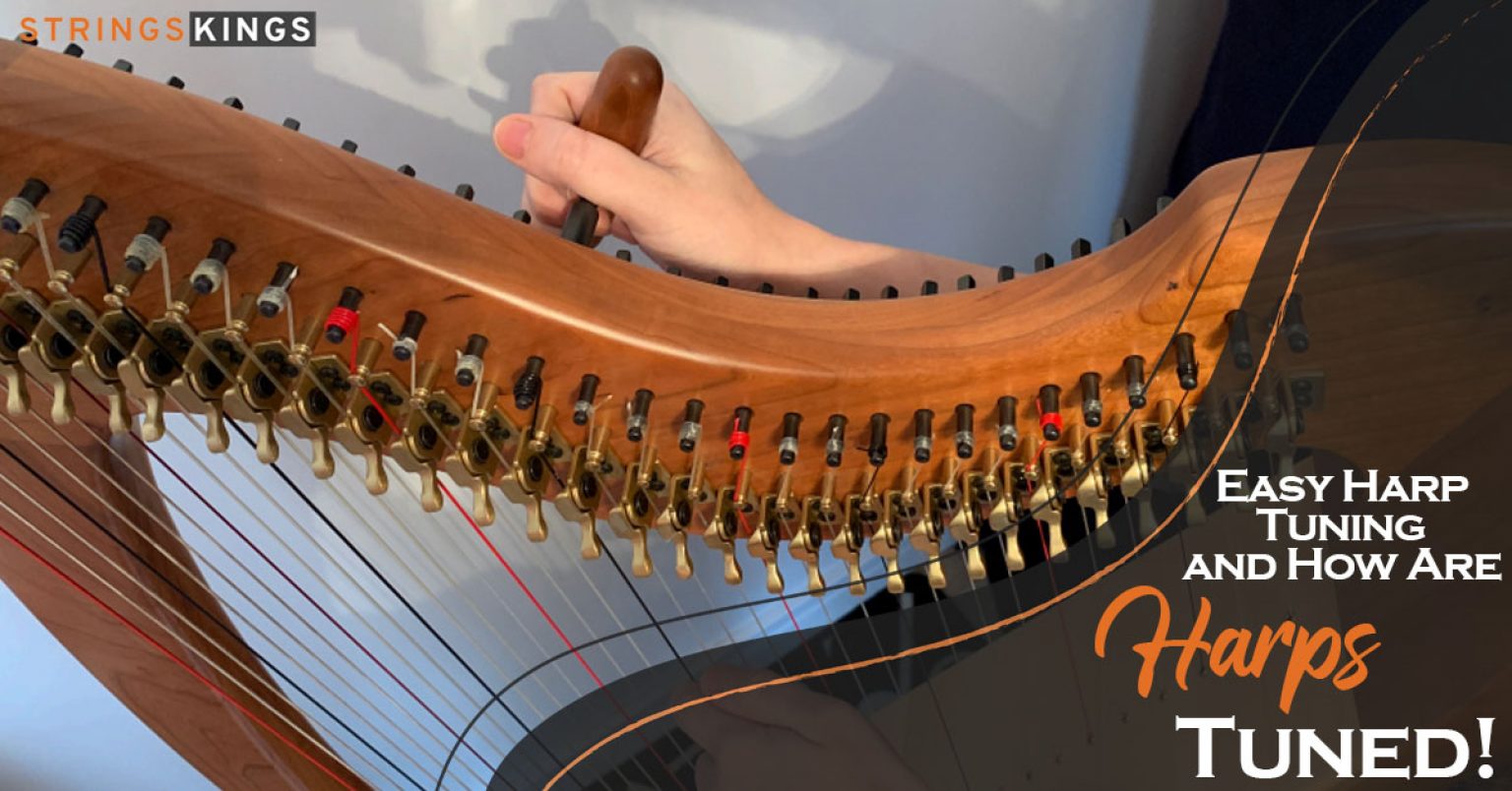 Easy Harp Tuning - How Are Harps Tuned in 2023?