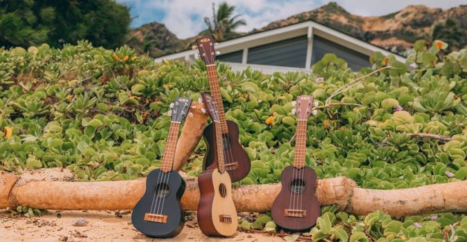 15 Fun Facts About The Ukulele You Might Not Know