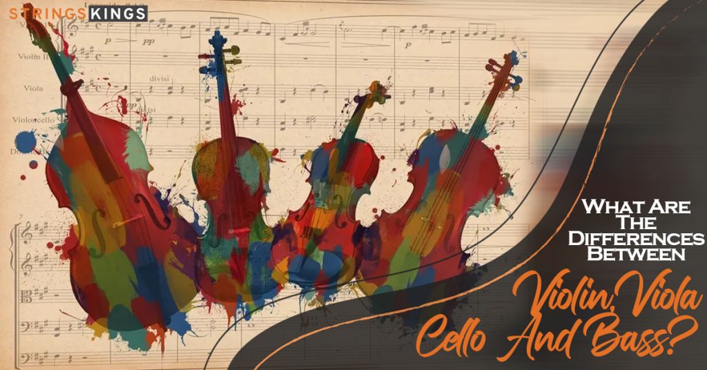Best Way to Learn The Differences Between Violin Viola Cello And Bass ...