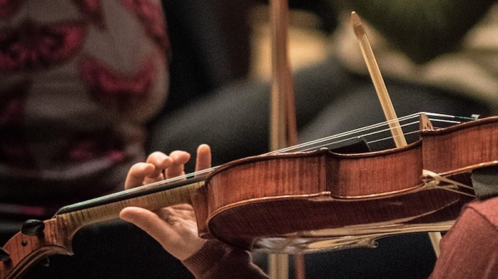 Cecilio Violins Review - The 7 Best Violins Available Now!