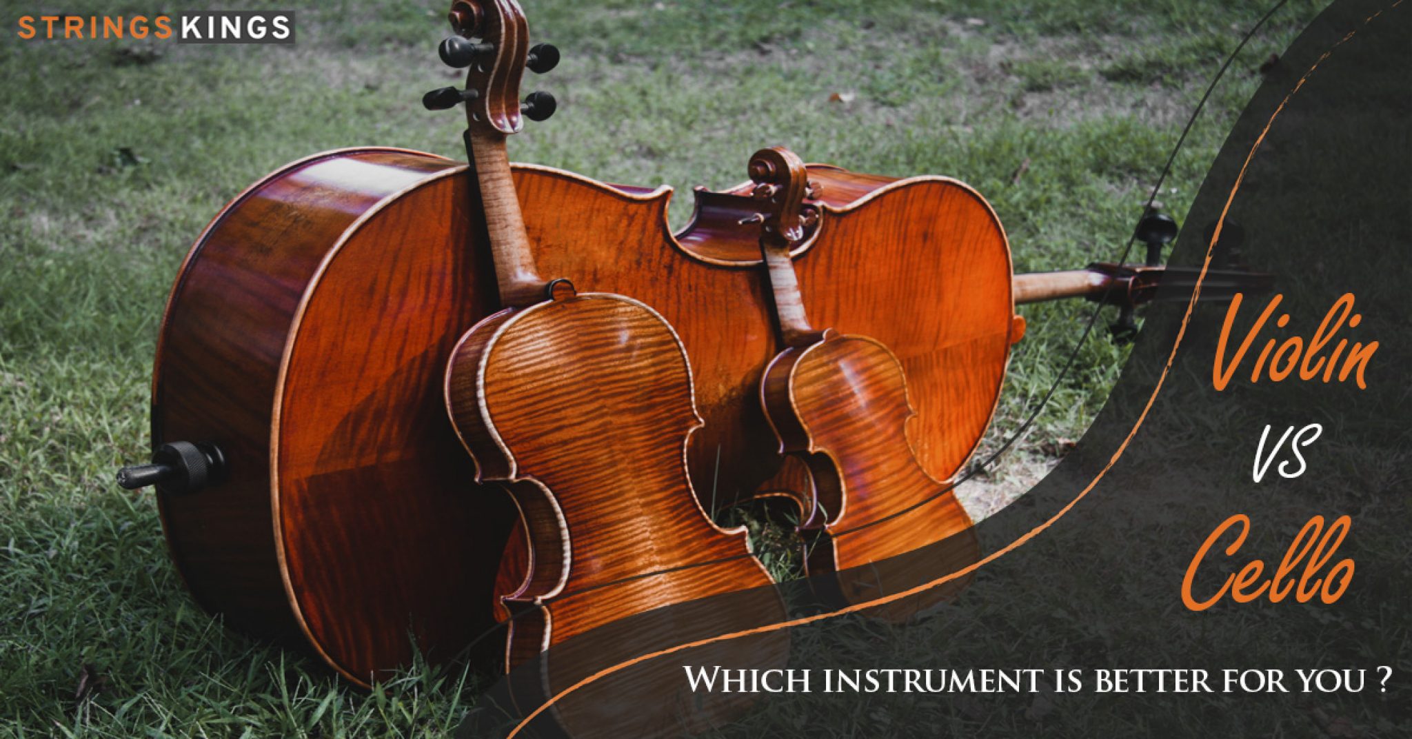 12 Fun Facts About The Cello You Might Not Have Known