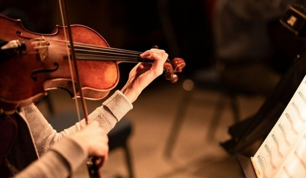 Best Viola Brands Review 2023 - Strings Kings