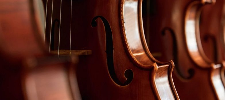 20 Best Violas for Beginners - 2023 Guide - Strings Kings