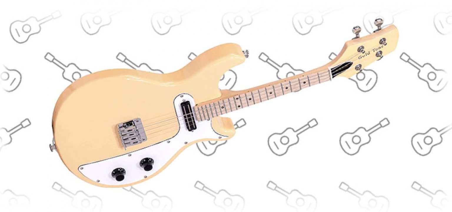 The Best 7 Electric Mandolins - Top Models + Buyers Guide!