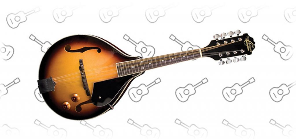 The Best 7 Electric Mandolins - Top Models + Buyers Guide!