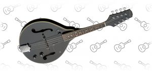 The Best 7 Electric Mandolins - Top Models + Buyers Guide!