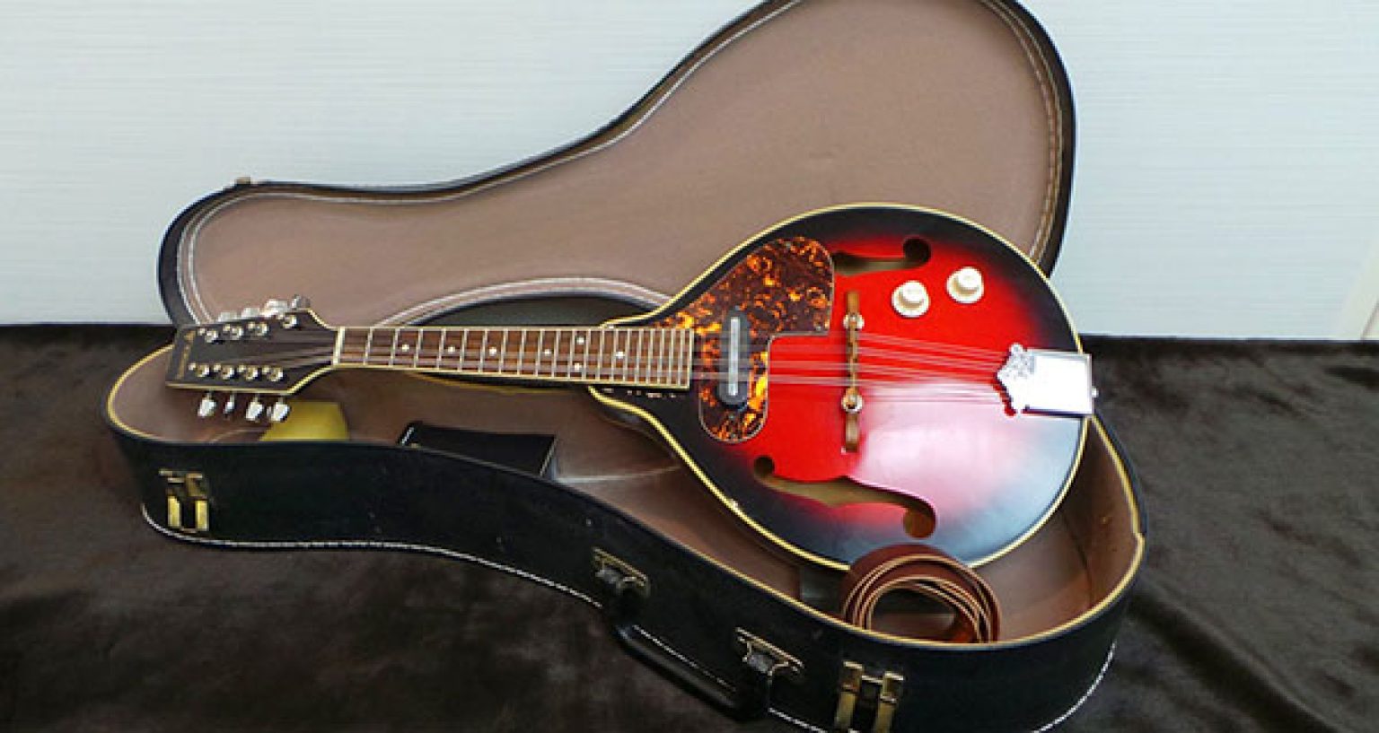 The Best 7 Electric Mandolins - Top Models + Buyers Guide!