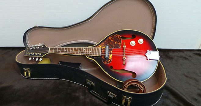 The Best 7 Electric Mandolins - Top Models + Buyers Guide!