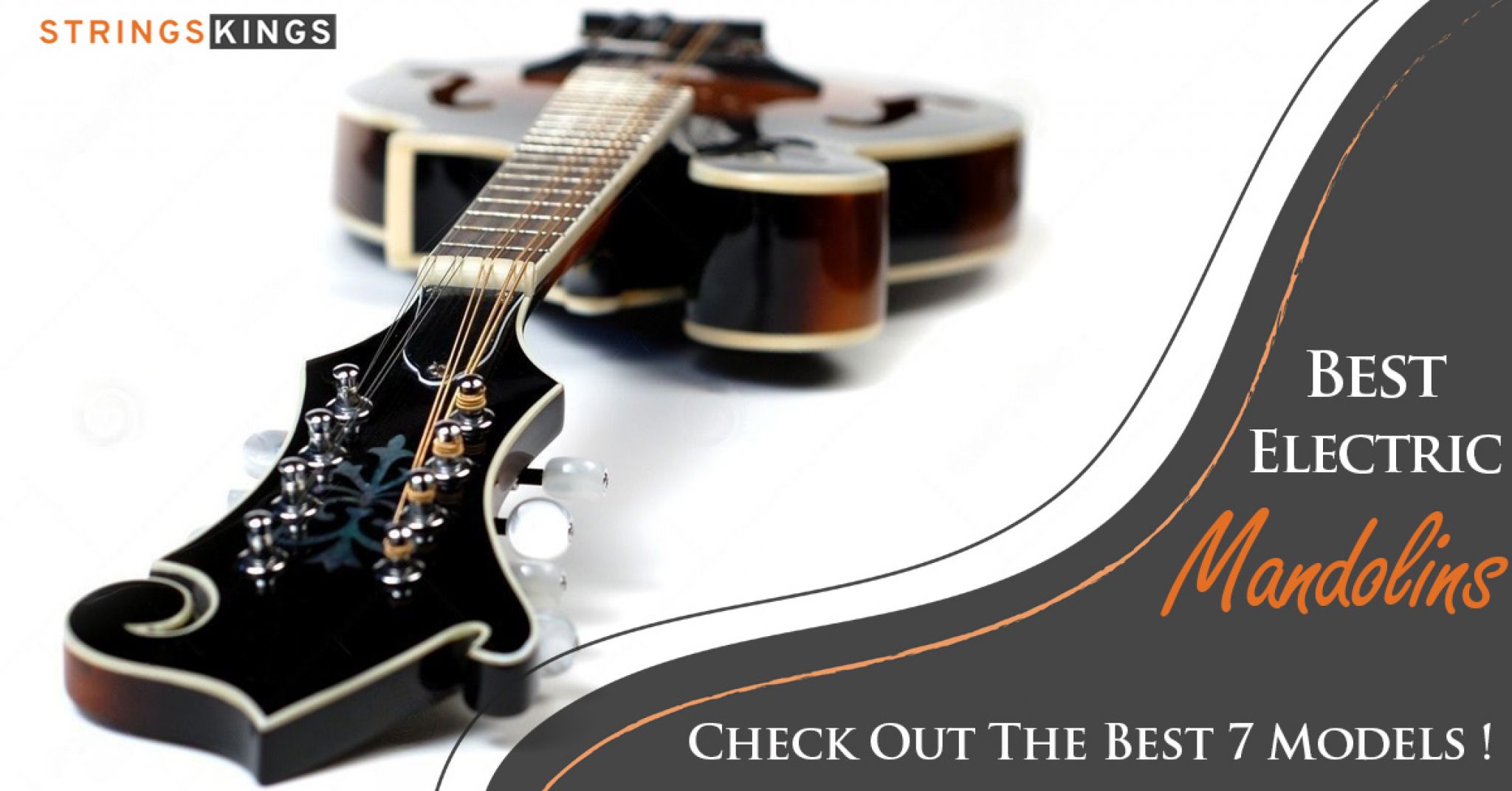 The Best 7 Electric Mandolins - Top Models + Buyers Guide!