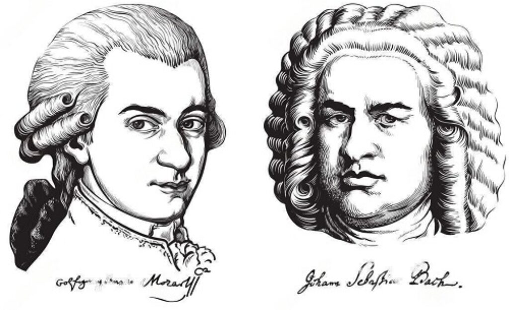 20 Interesting Facts About The Viola You Need To Know!