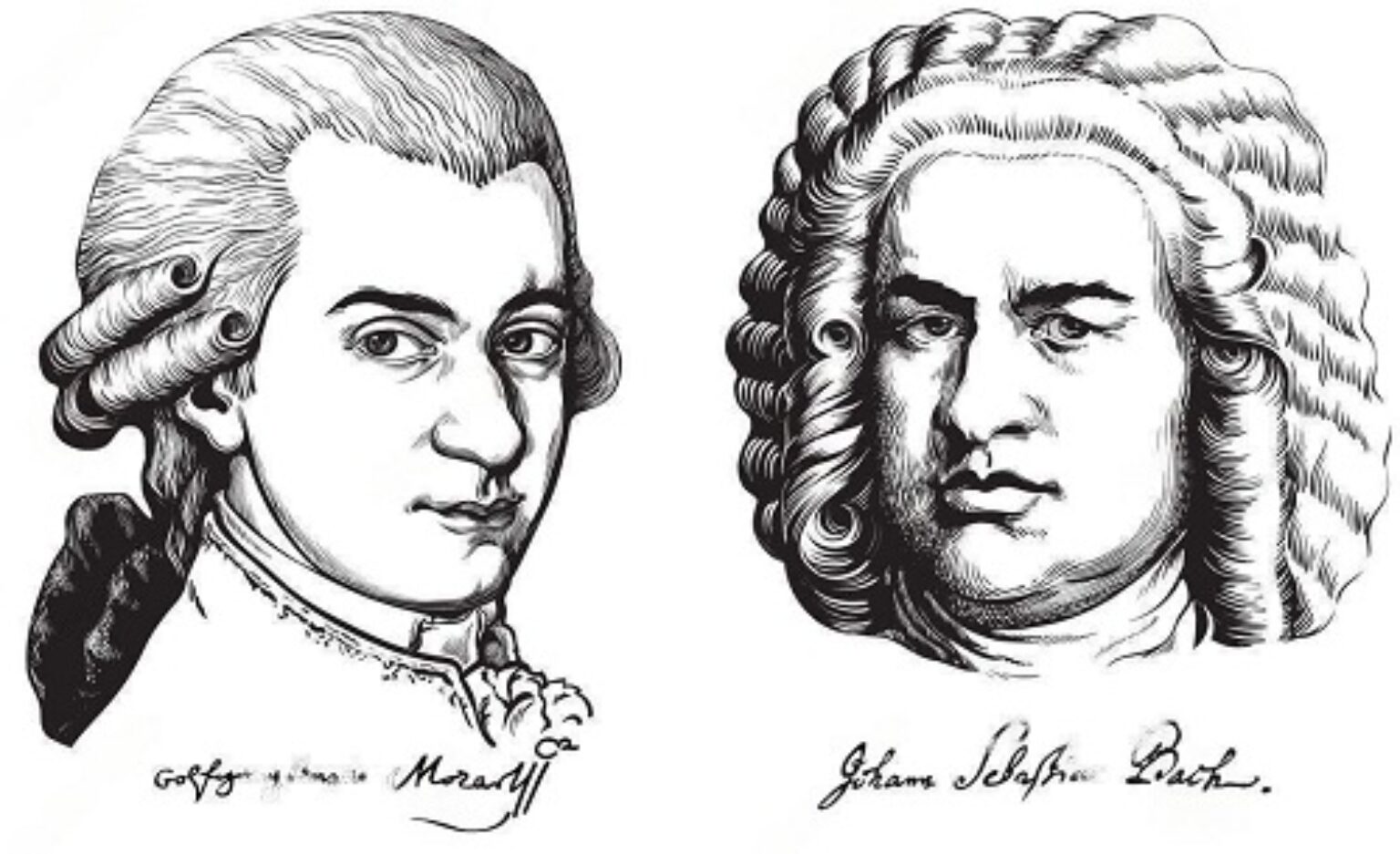 20 Interesting Facts About The Viola You Need To Know!