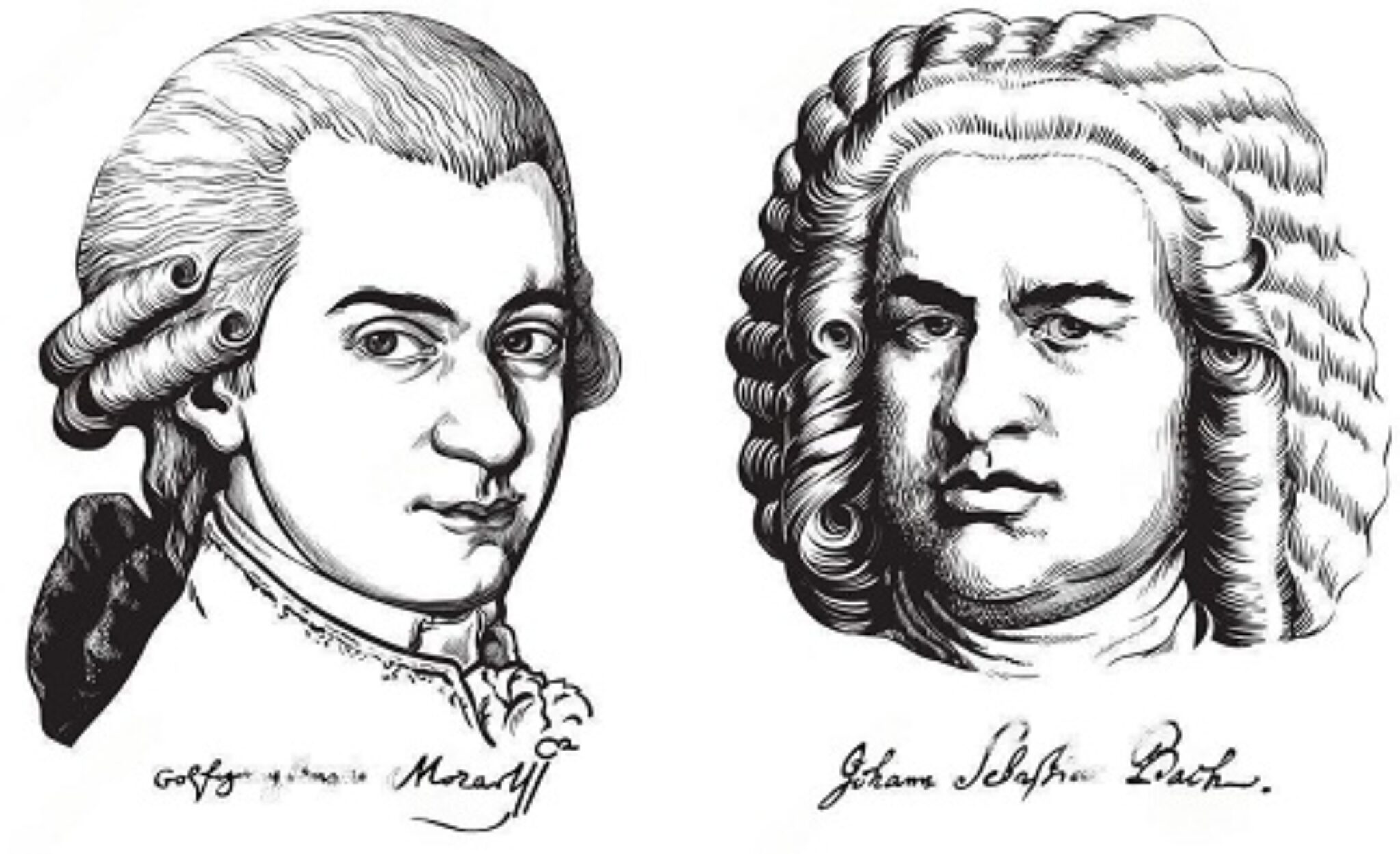 20 Interesting Facts About The Viola You Need To Know!