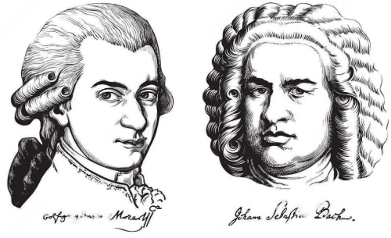 20 Interesting Facts About The Viola You Need To Know!