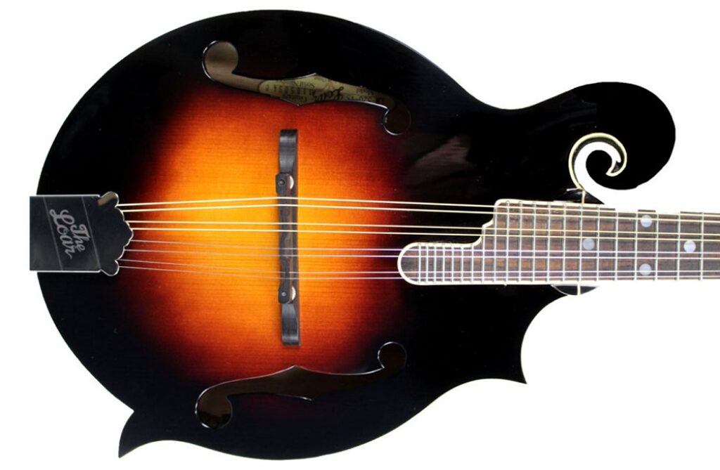 The Loar LM-520-VS Review: Great F-Style Mandolin! (2023)