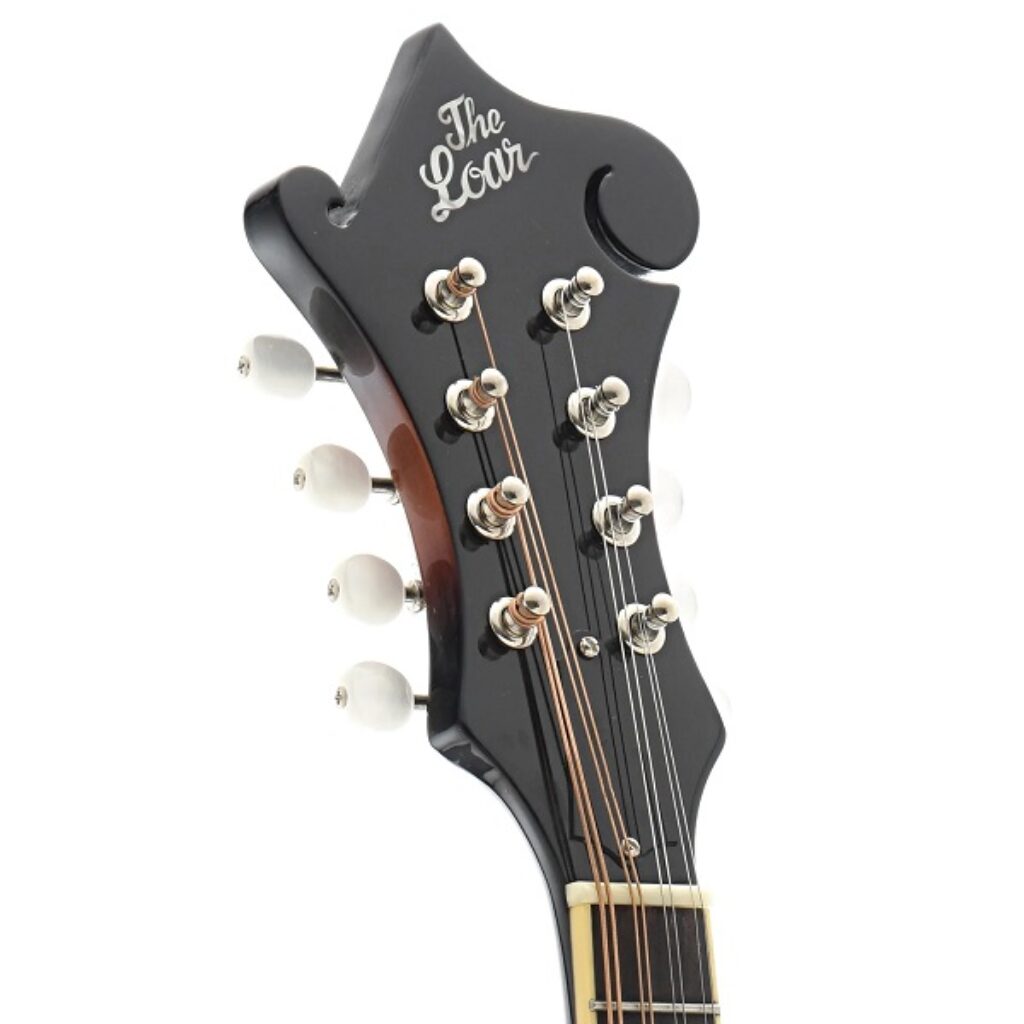 The Loar LM-520-VS Review: Great F-Style Mandolin! (2023)