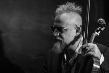 20 Interesting Facts About The Viola You Need To Know!