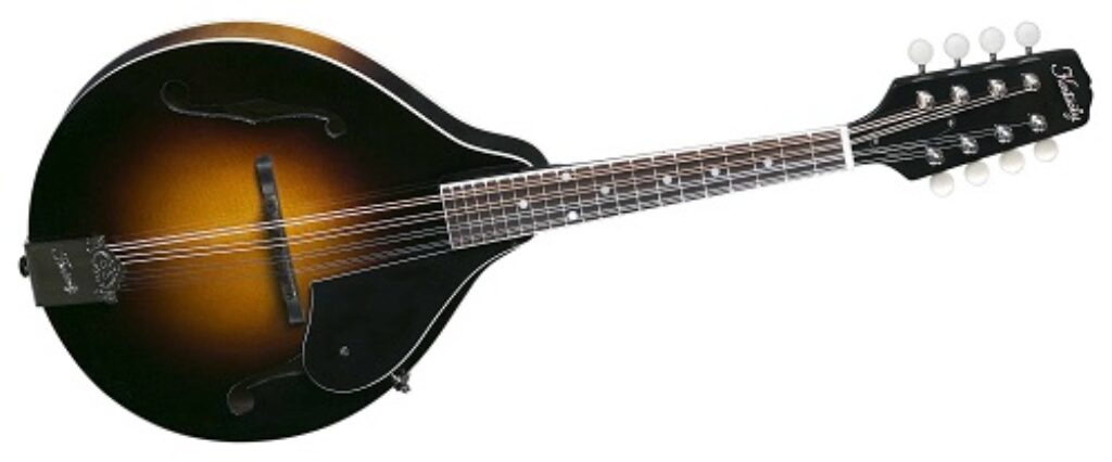 Types Of Mandolins - All You Need To Know, Great 2023 Guide!