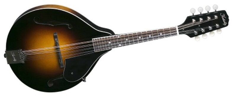 Types Of Mandolins - All You Need To Know, Great 2023 Guide!