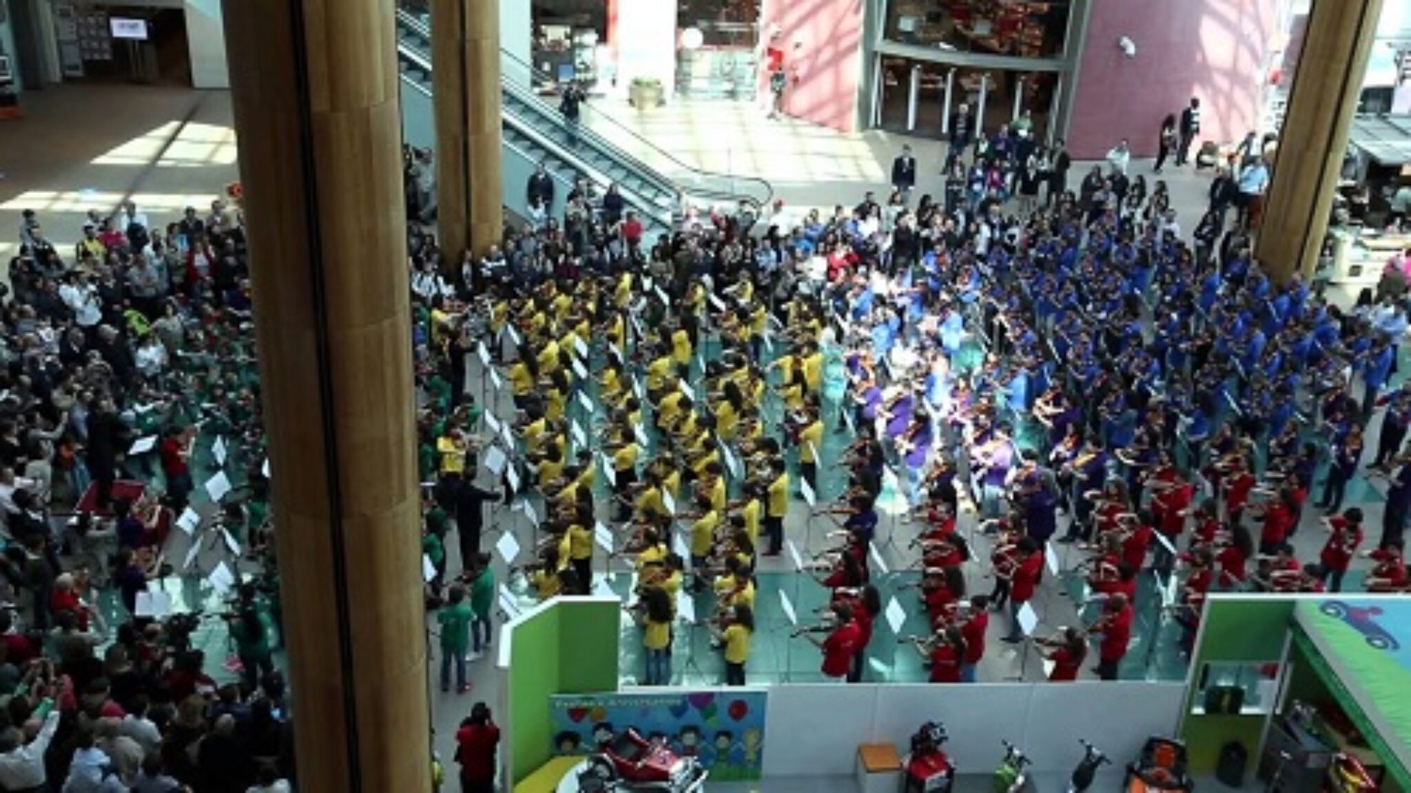 20 Interesting Facts About The Viola You Need To Know!